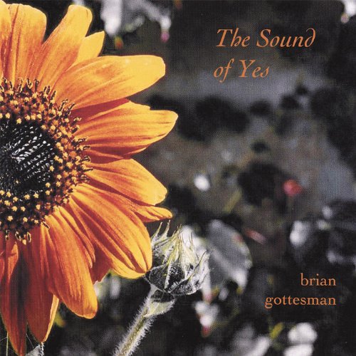 Amazon.com: The Sound of Yes : Brian Gottesman: Digital Music