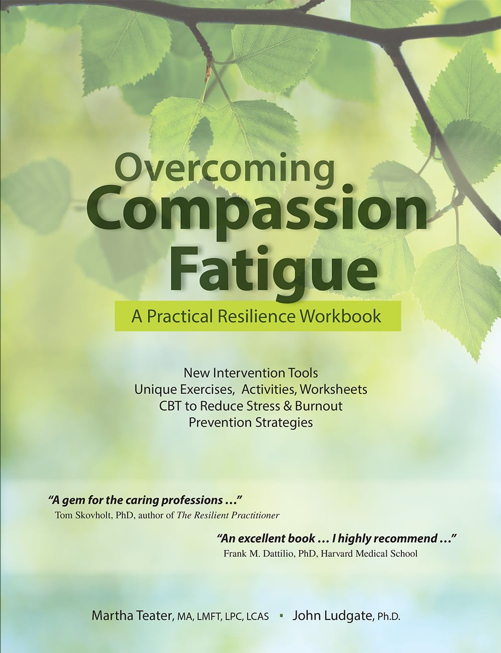 Compassion Fatigue How To Mind Your Mind And Avoid Compassion Fatigue