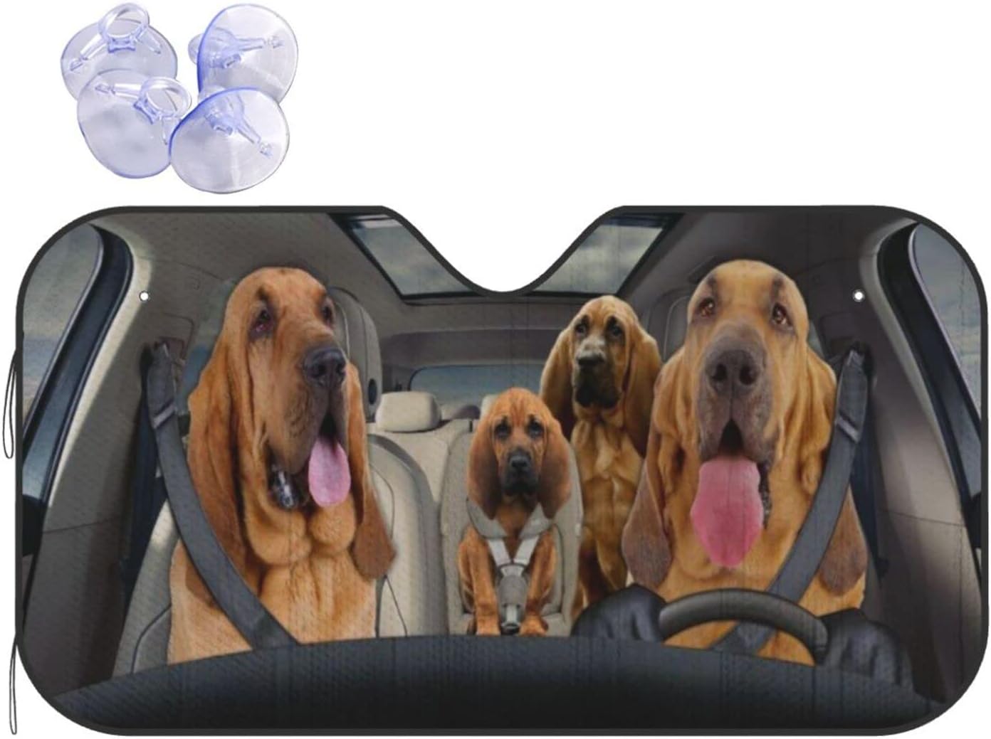 Amazon.com: Bloodhound Dog Windshield Sun Shade Foldable Car Sunscreen ...