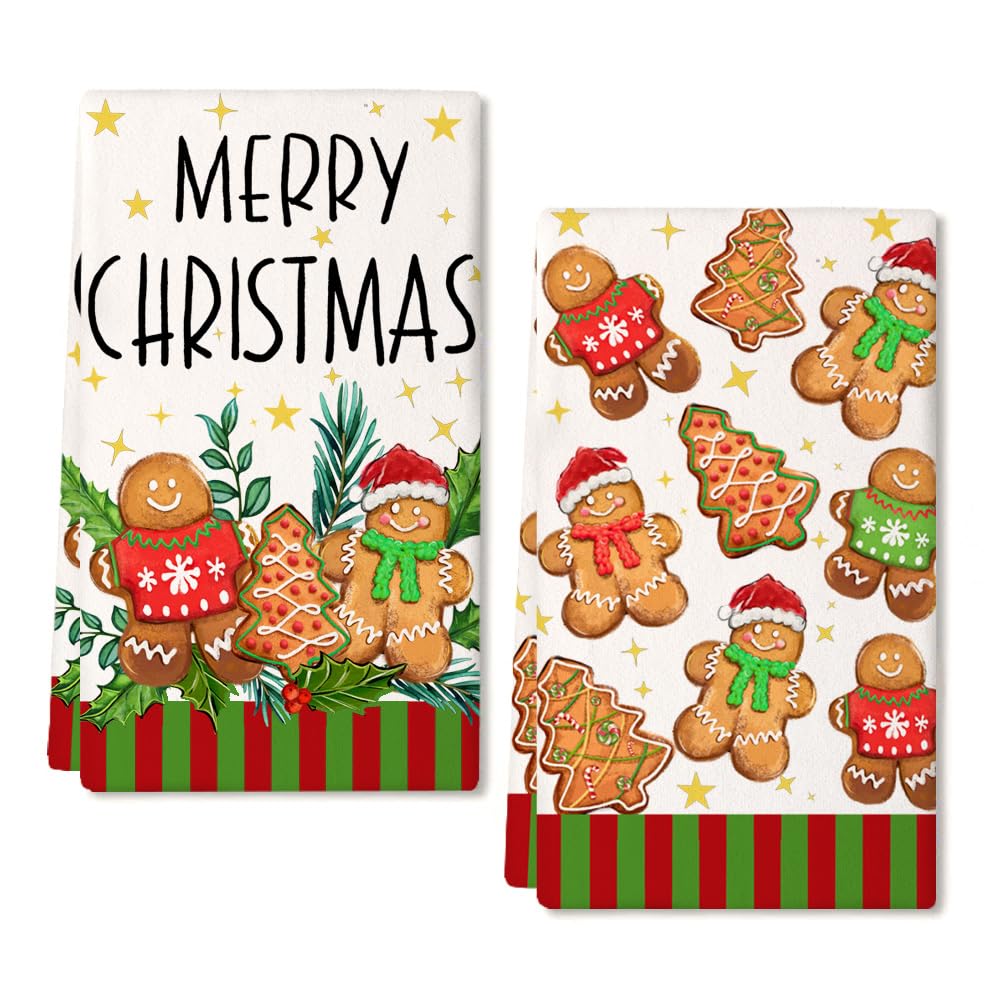 Amazon.com: DineDia Merry Christmas Kitchen Towels Set of 2,Gingerbread ...