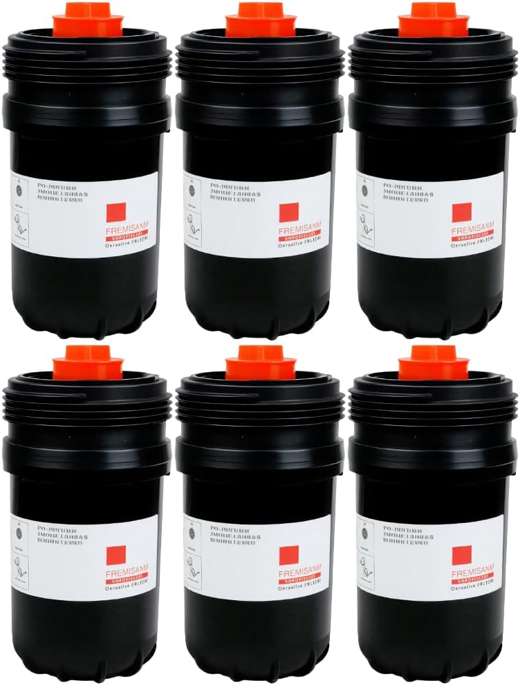 Amazon.com: 6PCS FF63054NN Fuel Filter Fit for 6.7 Cummins B/L series ...