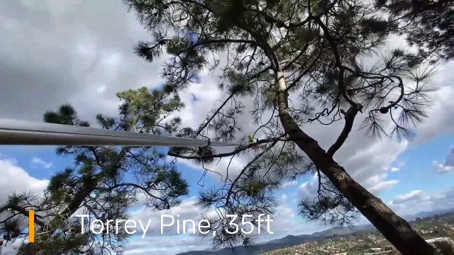 Cordless Power Pole Saw For Tall Trees SFT Remote Control Power – Cuts ...