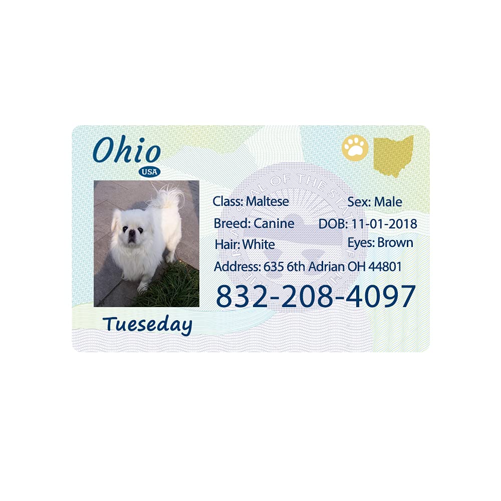 Do You Have To Have A Dog License In Ohio