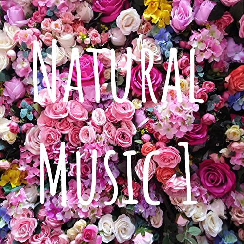 Natural Music 1 : muhammad hussain: Amazon.in: Books
