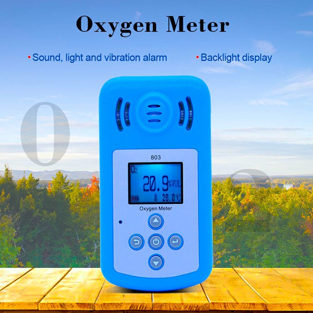 Buy TYZXR Analyzer,Professional LCD Oxygen Meter,Portable Oxygen O2 ...
