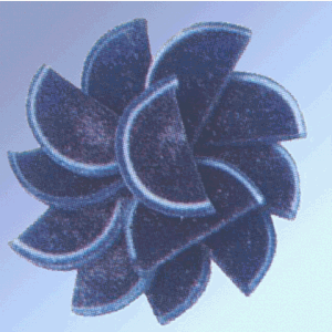 Amazon.com : Fruit Slices Blue Raspberry : Gummy Candy : Grocery ...