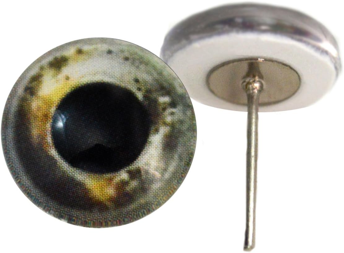 Amazon.com: Realistic Koi Fish Glass Eyes On Wire Pin Posts for Needle ...