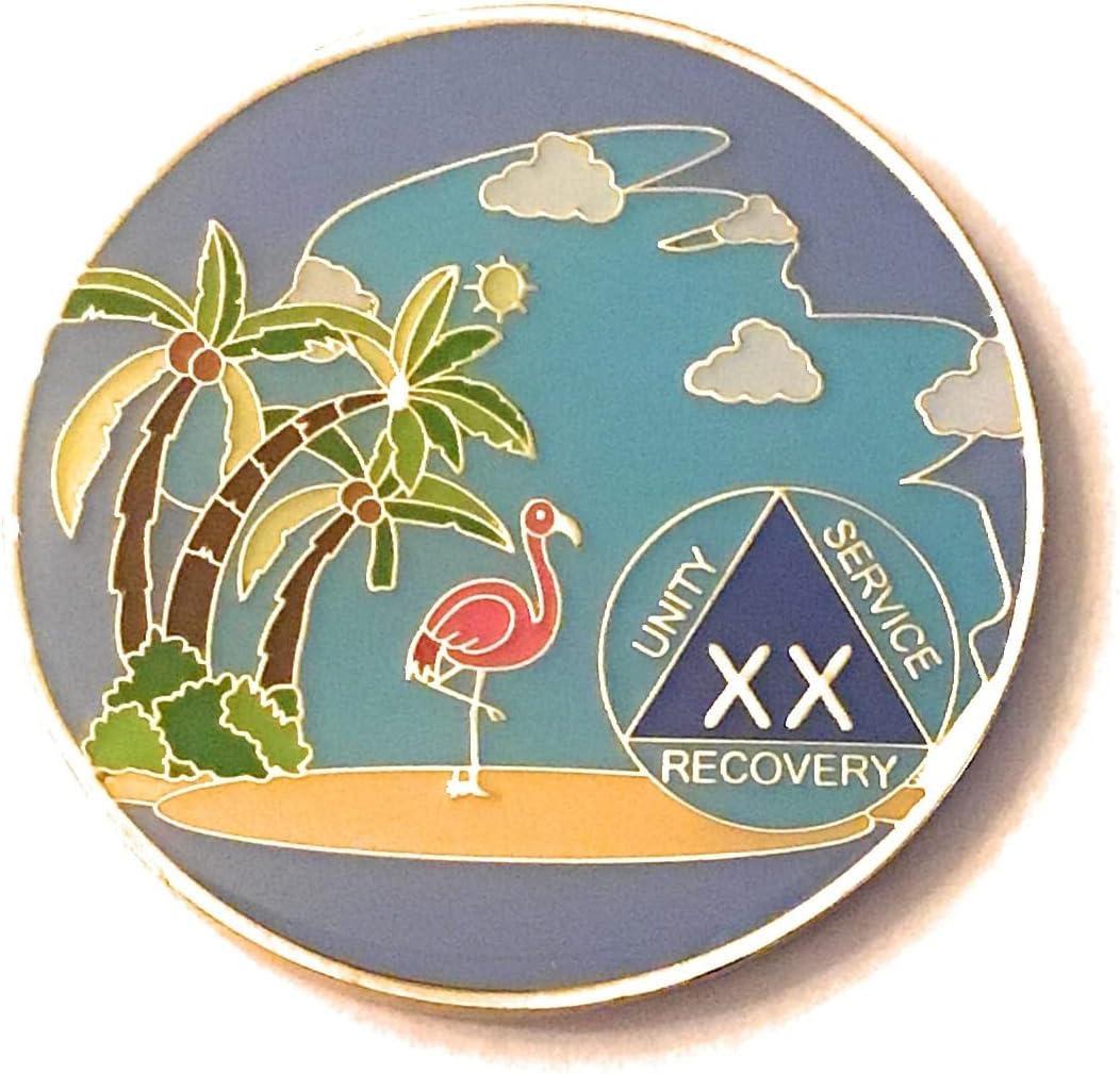 Amazon.com: 20 Year AA, Medallion, Coin, Token, chip, Beach, Flamingo ...