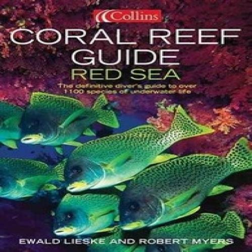 coral-reef-guide-red-sea : Amazon.in: Books