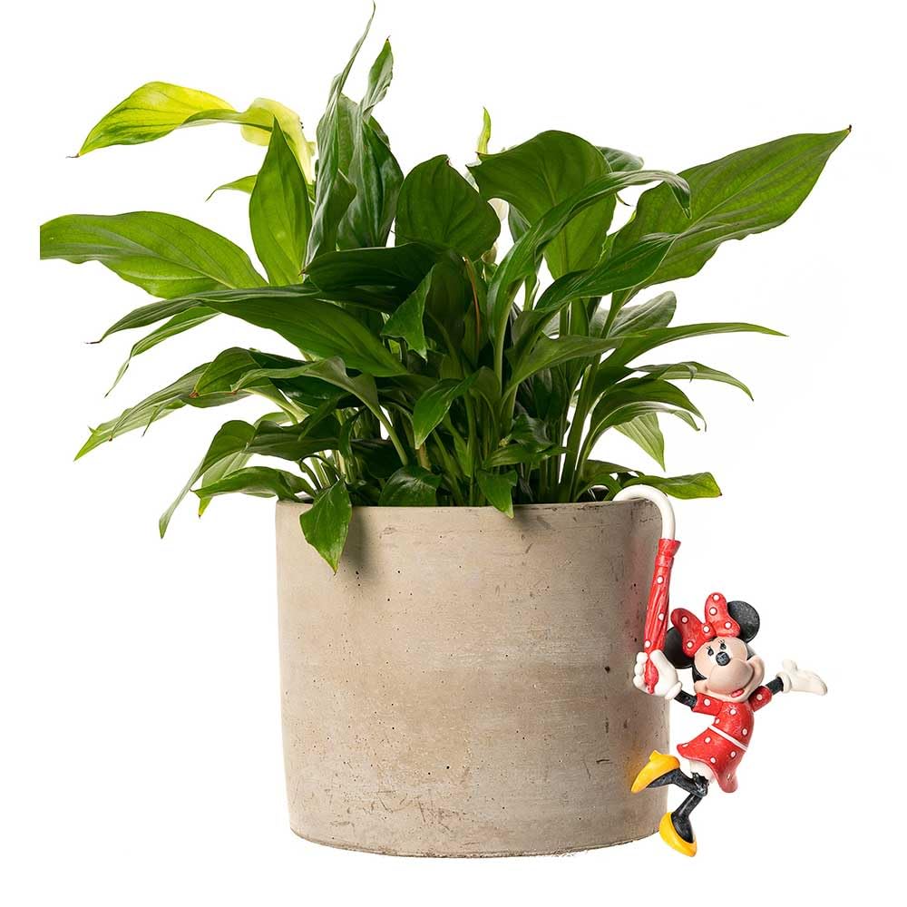 Jardinopia Pot Buddies Minnie Mouse Plant Pot Hanger : Amazon.co.uk: Garden