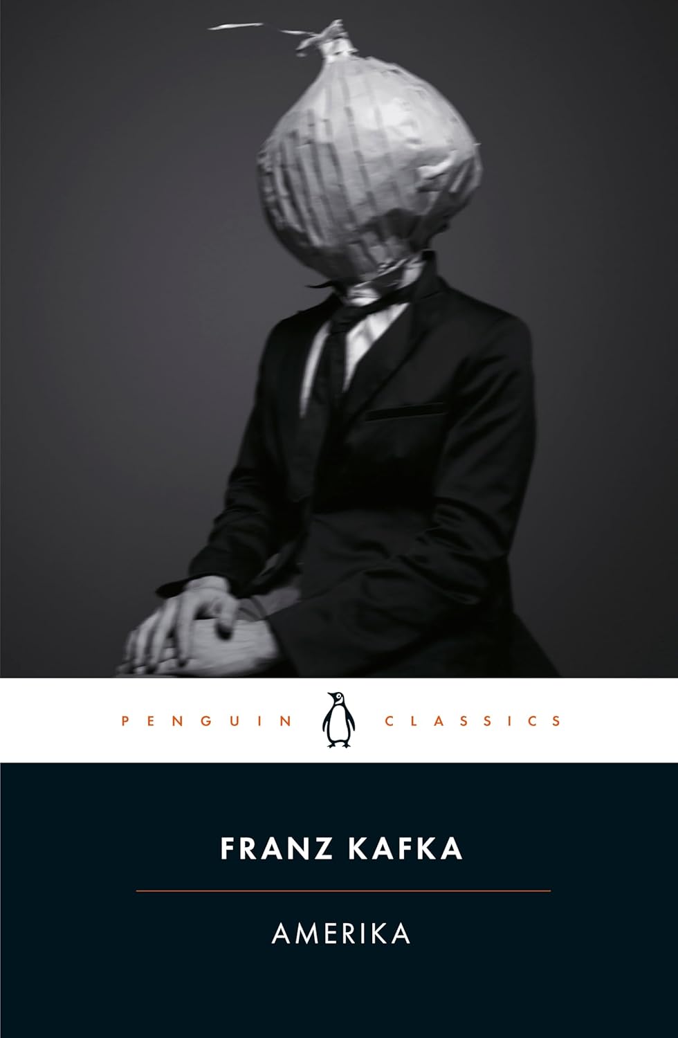 Amerika: Kafka, Franz: 9780241372586: Books - Amazon.ca