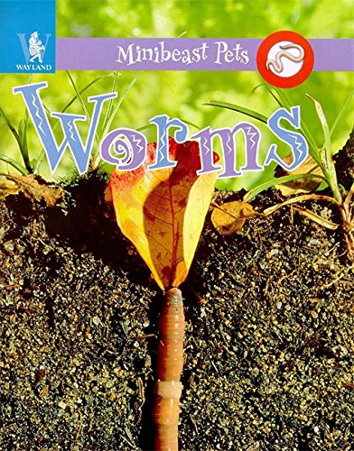 Worms (Minibeast Pets): Theresa Greenaway, Stefan Chabluk, Jim Chanell ...