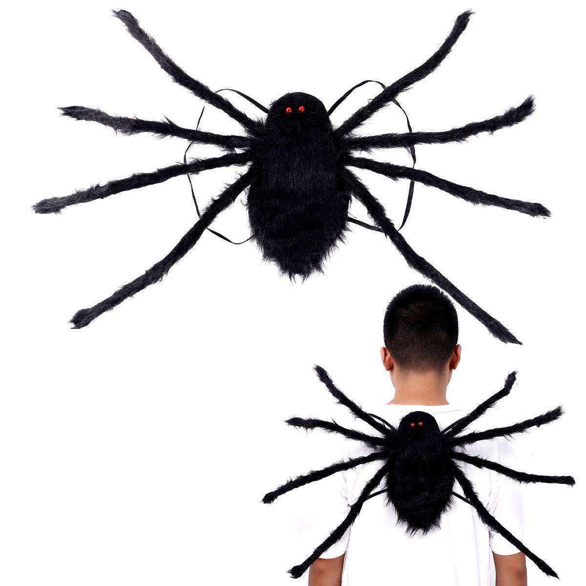 Spider With Wings
