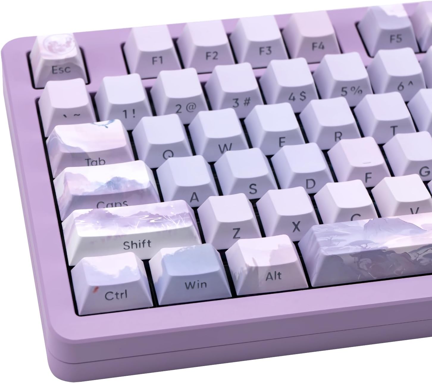 Amazon.com: TIMSEKER 136 Keys Purple Side Print Shine Through Keycaps ...