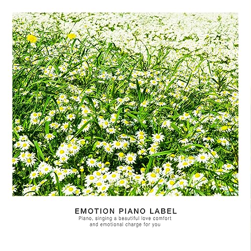 Play Good Luck Piano Collection by Lullaby Music by VARIOUS ARTISTS on ...
