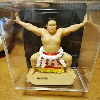 Amazon.co.jp: Winner Sumo Morning Dragon Figure : Toys & Games