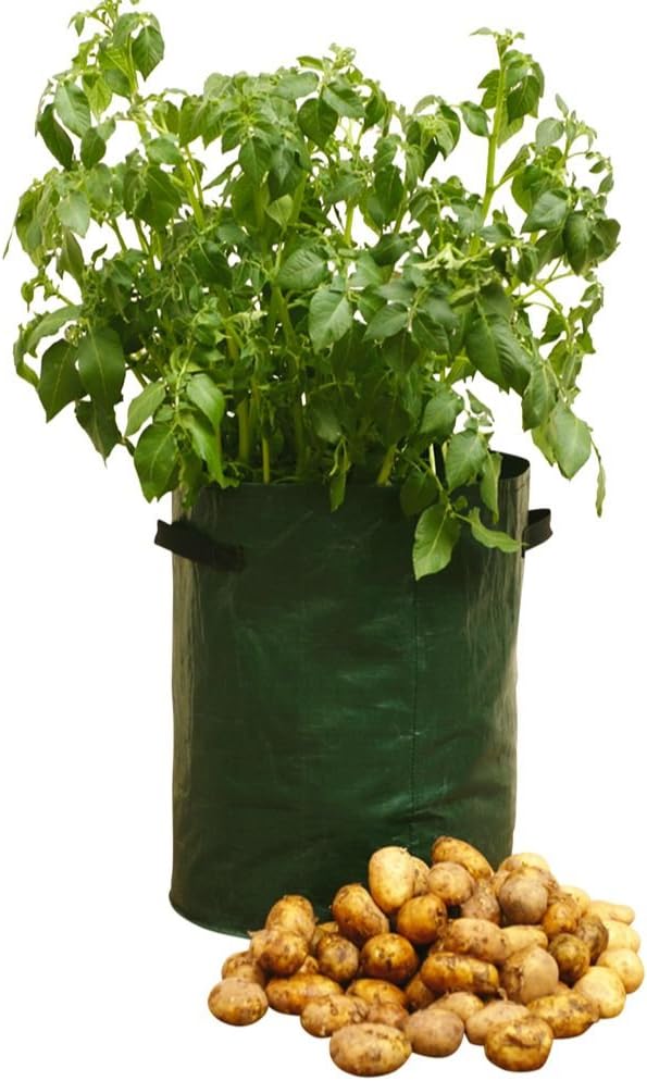 Haxnicks Easy To Use Potato Patio Garden Planter x 3 : Amazon.co.uk: Garden