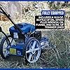 Amazon.com : Powerhorse High-Wheeled Walk-Behind String Trimmer, 173cc ...
