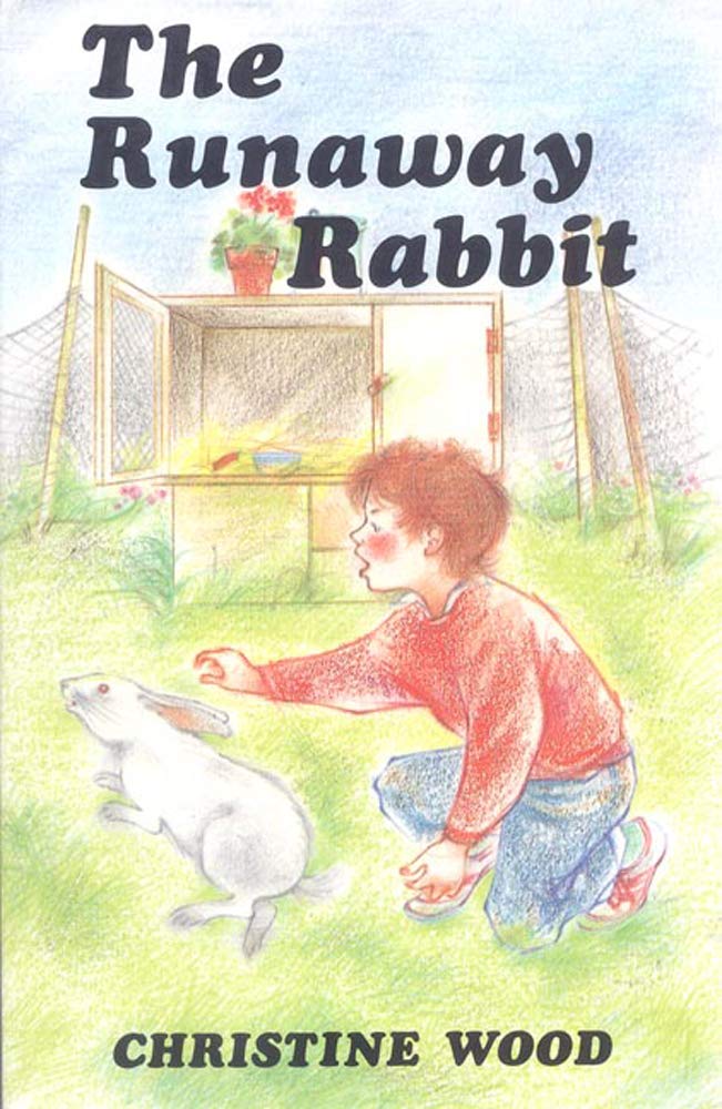 The Runaway Rabbit (Junior Gateway Books): Wood, Christine, Worth, Jo ...