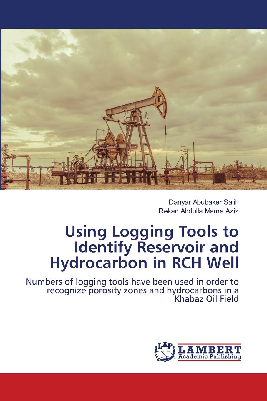 Buy Using Logging Tools to Identify Reservoir and Hydrocarbon in RCH ...