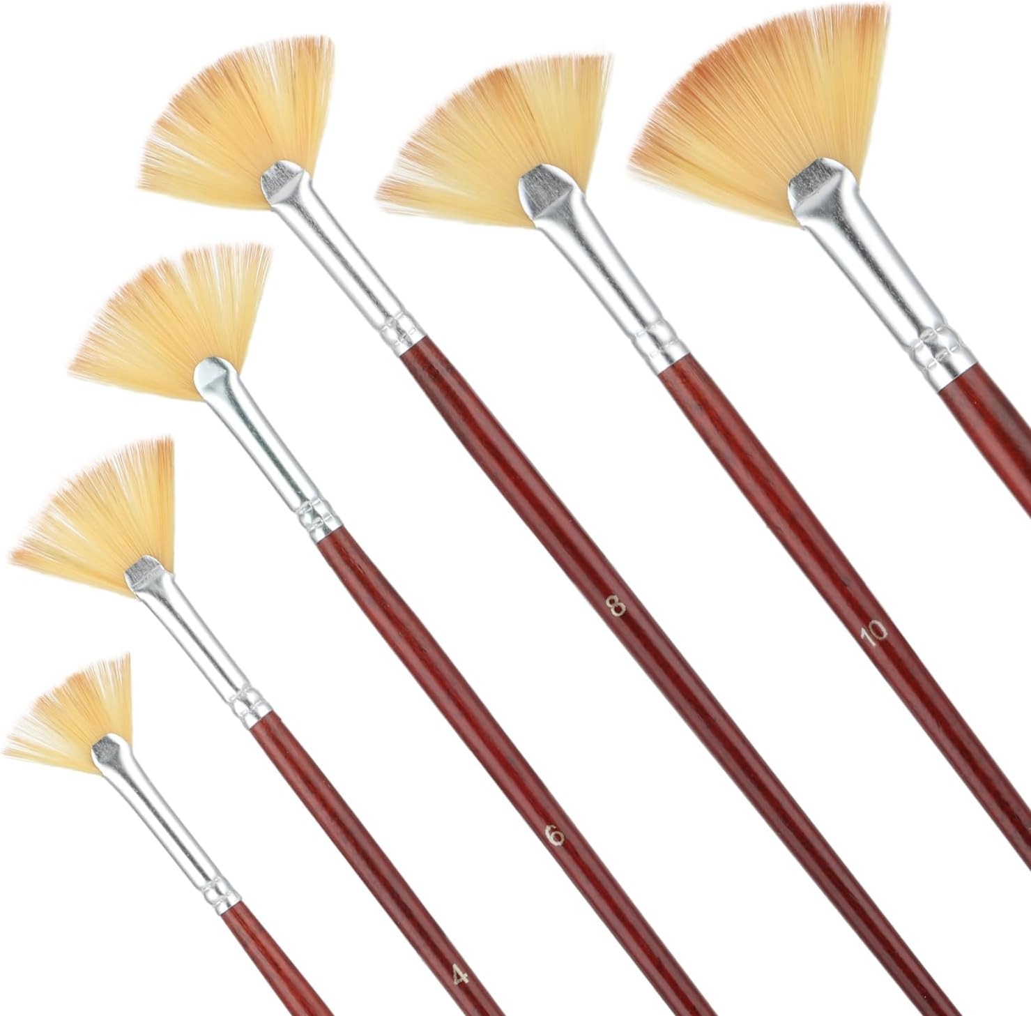 Amazon.com: 6 Pieces Artist Fan Paint Brush Set,Professional Acrylic ...