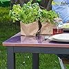 Film de table transparent 2mm d'épaisseur avec bords biseautés Profolio ...