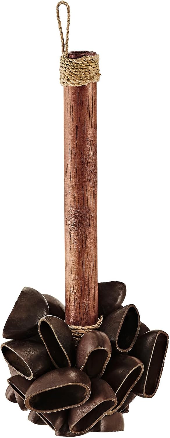 Amazon.com: Seed Shell Shaker Percussion Instrument — Nature Sounds for ...