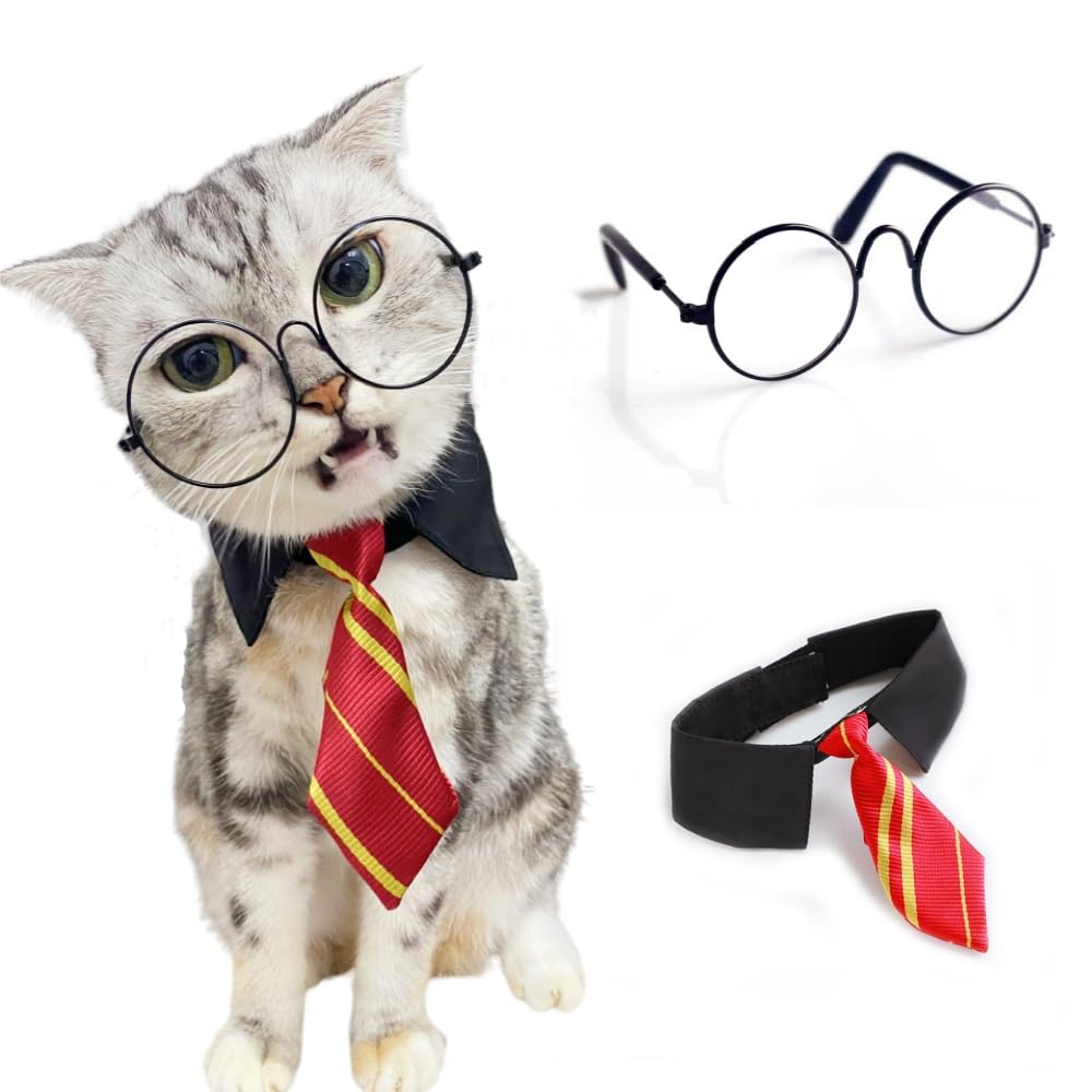 Amazon.com : Cat Witch Costume Halloween Costume for Pet Wizard Cute ...