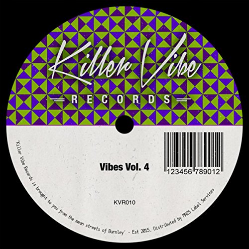 Amazon.com: Vibes Vol. 4 : VARIOUS ARTISTS: Digital Music
