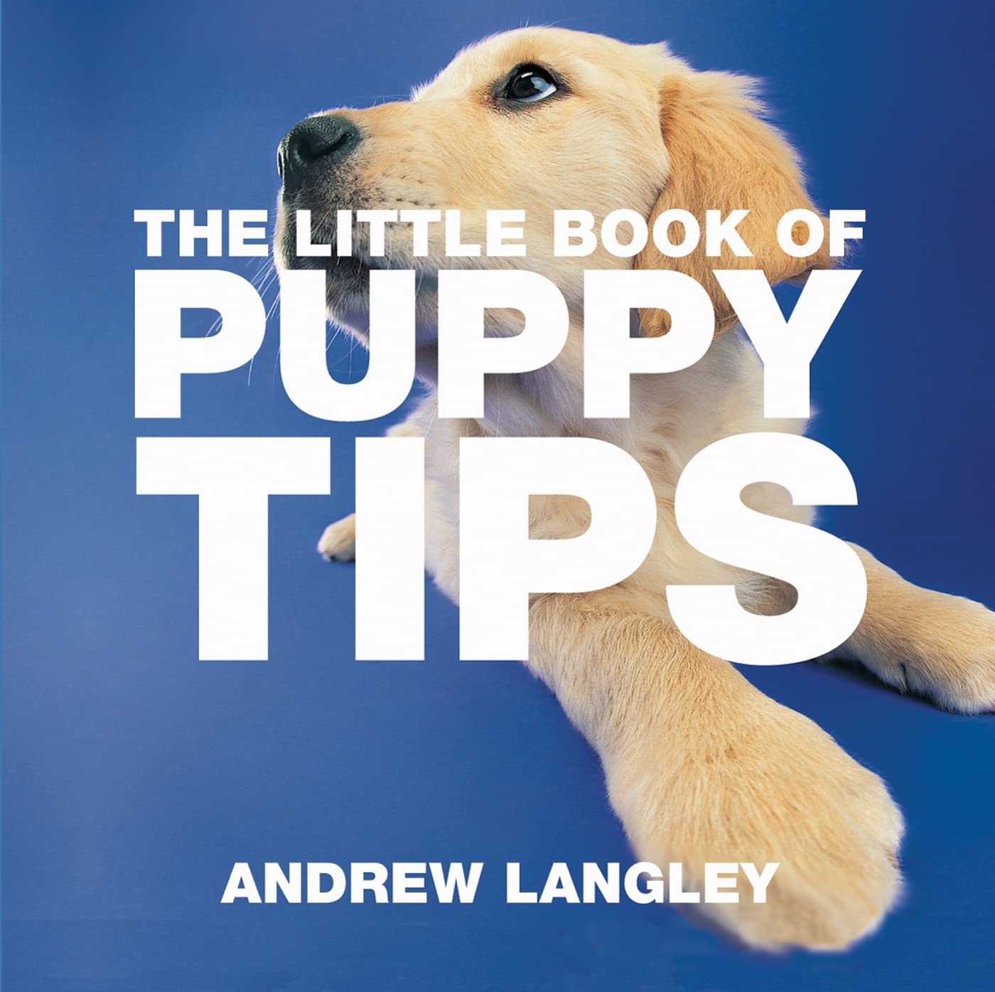The Little Book of Puppy Tips: Langley, Andrew: 9781904573623: Amazon ...