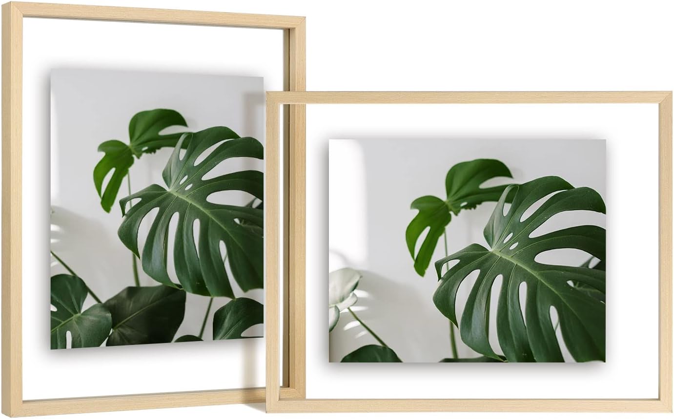 Amazon.com: Egofine 11x14 Floating Frames Set of 2, Double Glass ...