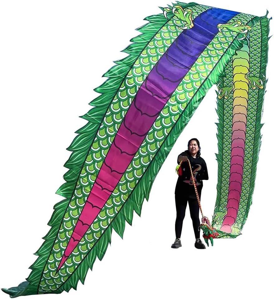 Amazon.com: Dragon Dance Ribbon Streamer with Travel Bag, Washable ...