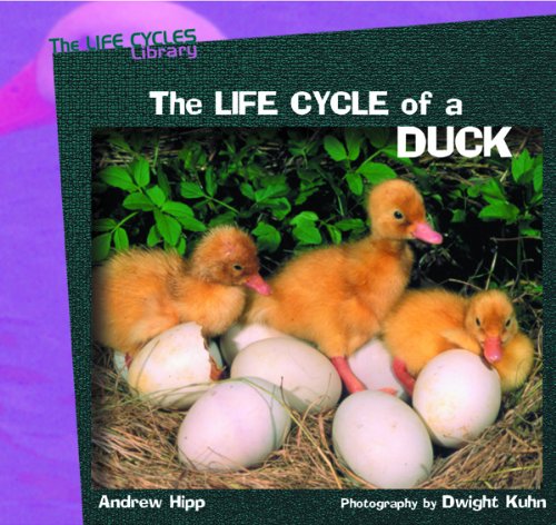 The Life Cycle of a Duck: Hipp, Andrew: 9780823958689: Books - Amazon.ca