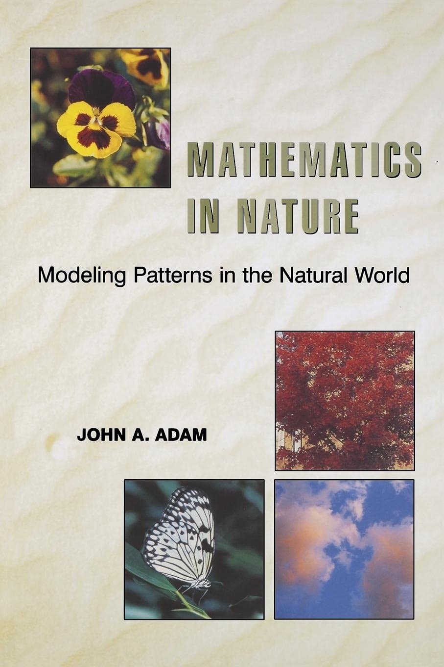 Mathematics in Nature – Modeling Patterns in the Natural World: Amazon ...