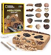 NATIONAL GEOGRAPHIC Mega Fossil and Gemstone Dig Kit - Excavate 20 Real ...