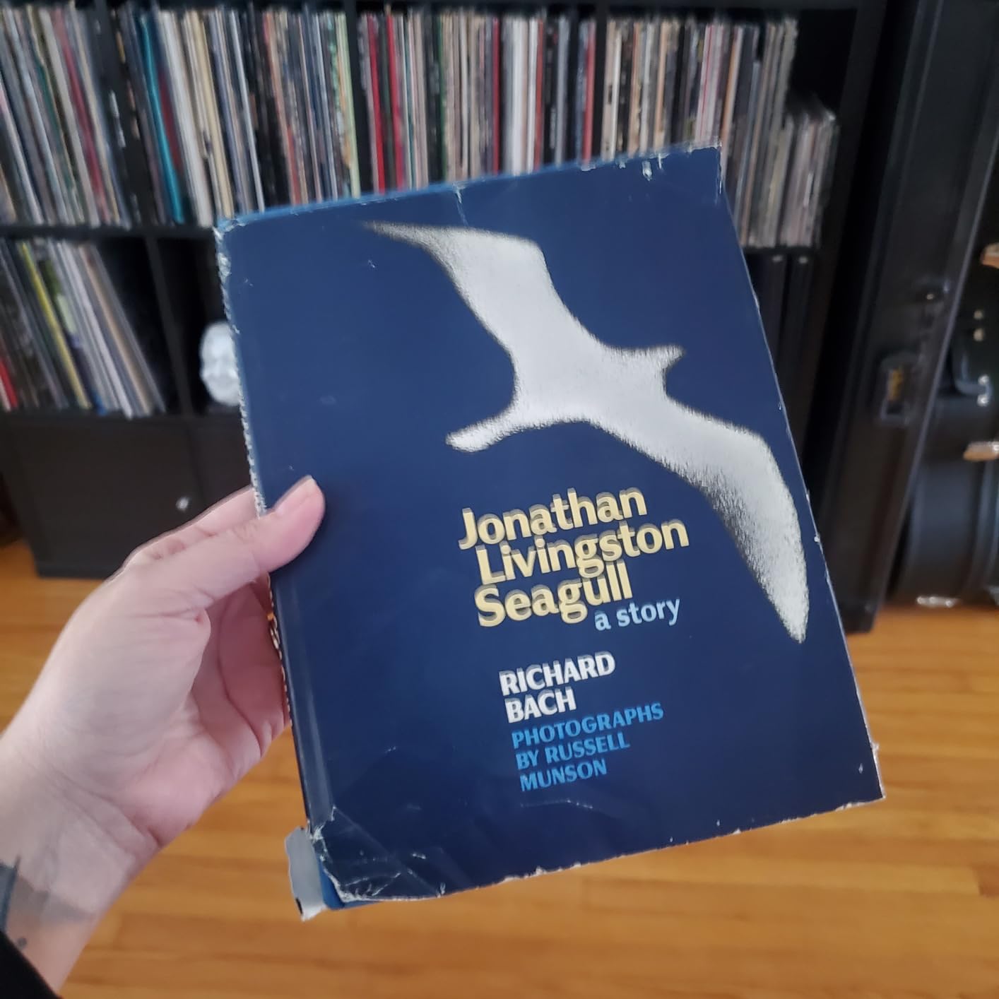 Amazon.com: Jonathan Livingston Seagull - a Story: Bach, Munson: Books
