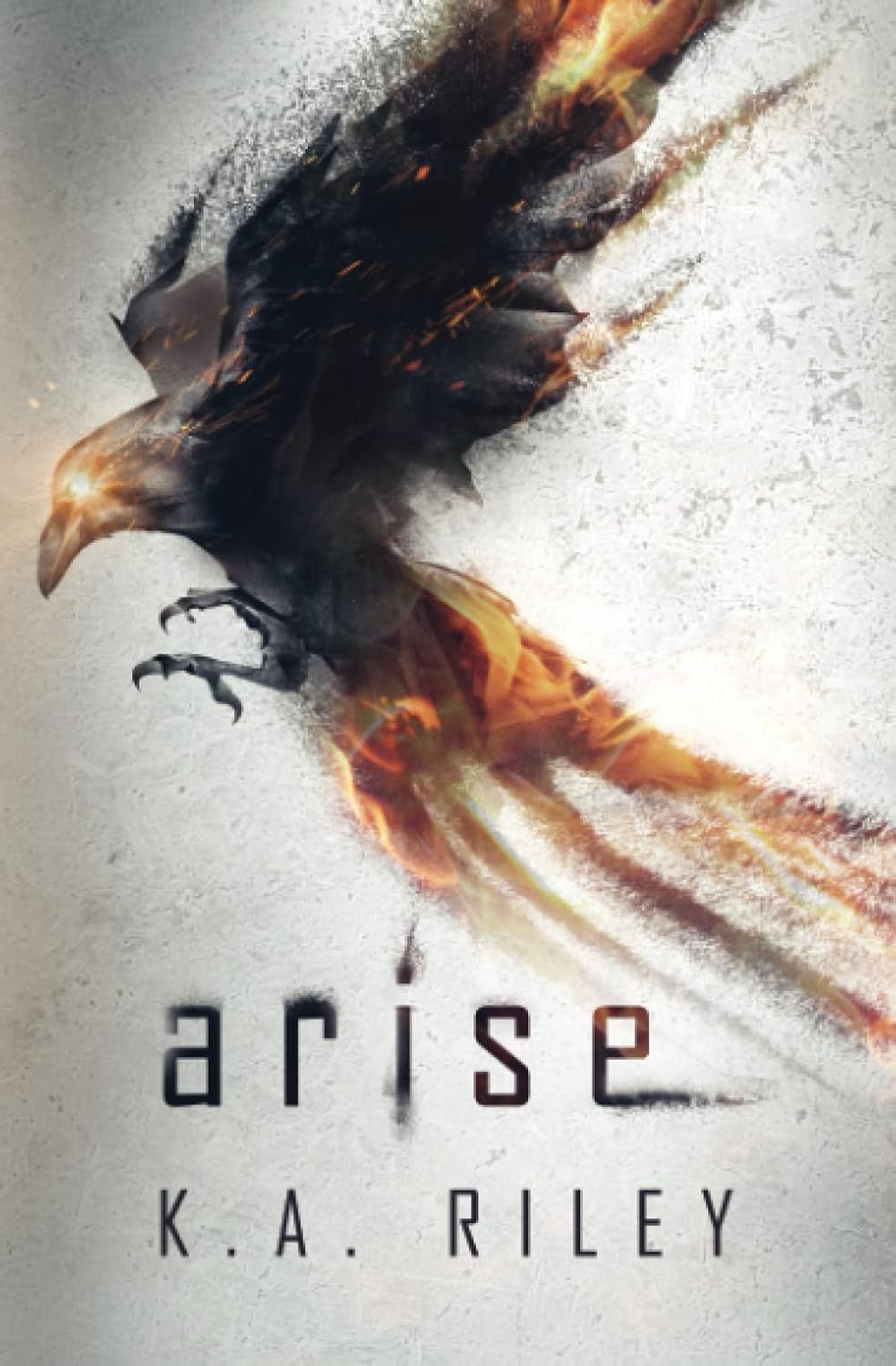 Arise: A Dystopian Novel (The Ravenmaster Chronicles): Riley, K. A ...
