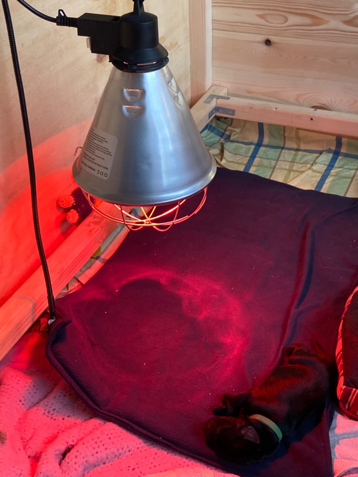 SM Pet Supplies Infrared Radiant Heat Lamp & Red Bulb High Low Switch ...