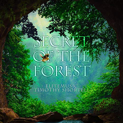 Play Secret of the Forest by Timothy Shortell & EliteMusic on Amazon Music
