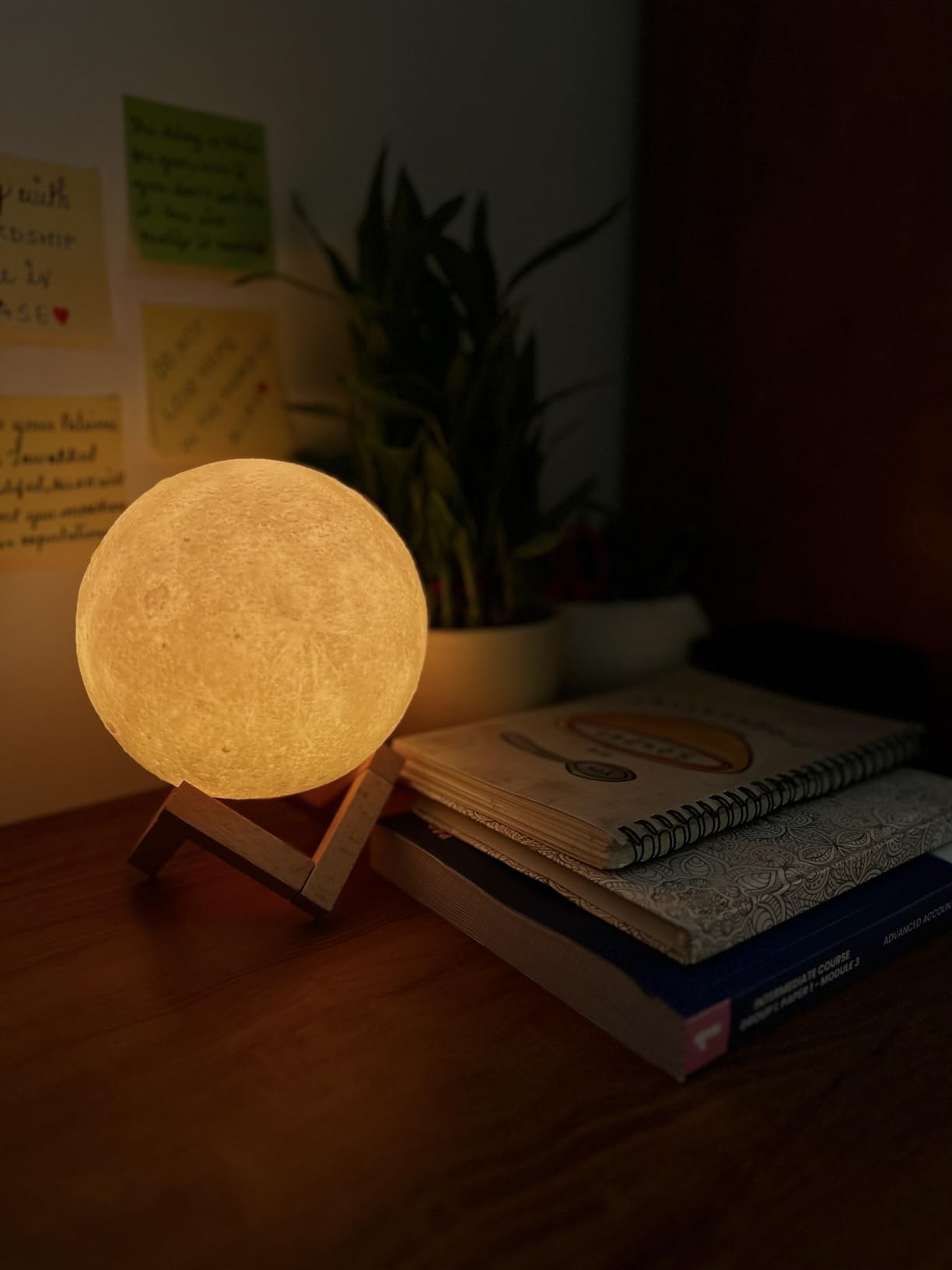 Buy BERO Plastic 3D Printing Moon Lamp/Lunar Moonlight Lamp/Moon Shaped ...