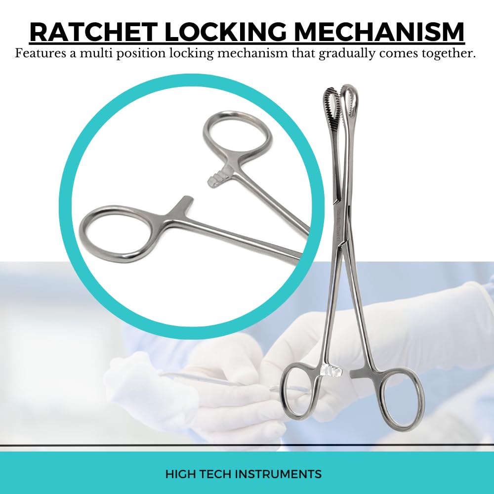 Snapklik.com : Foerster Sponge Forceps Straight + Curved Serrated Loop ...