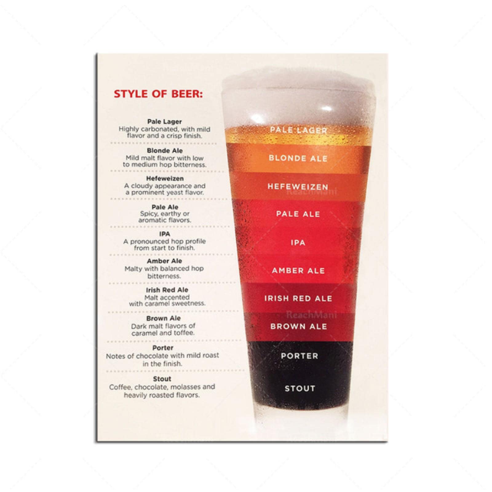 Infographic Art Beer