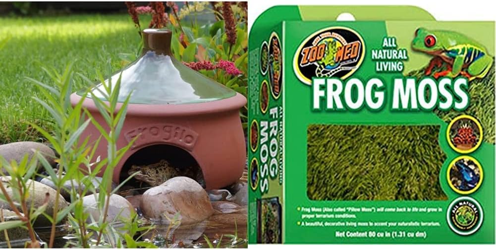Wildlife World Cf/TH2 Ceramic Frog & Toad House, 20cm x 20cm x 20cm ...