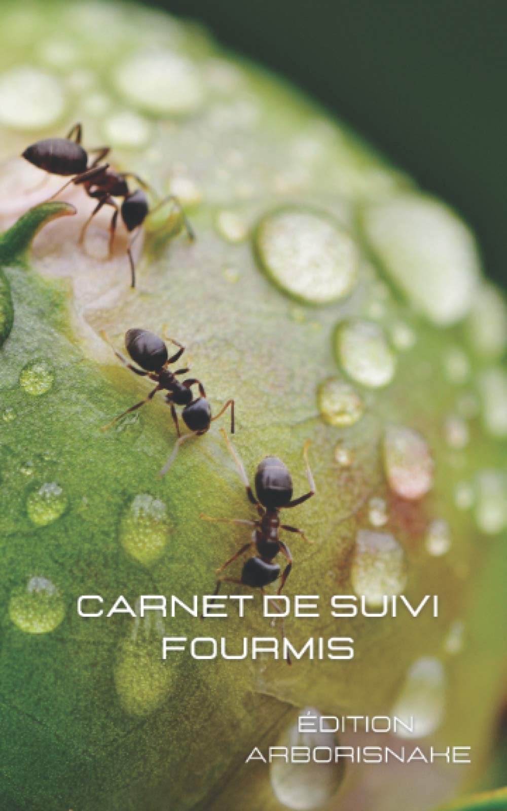Buy carnet de suivi fourmis: à compléter-fourmilière-carnet de suivi ...