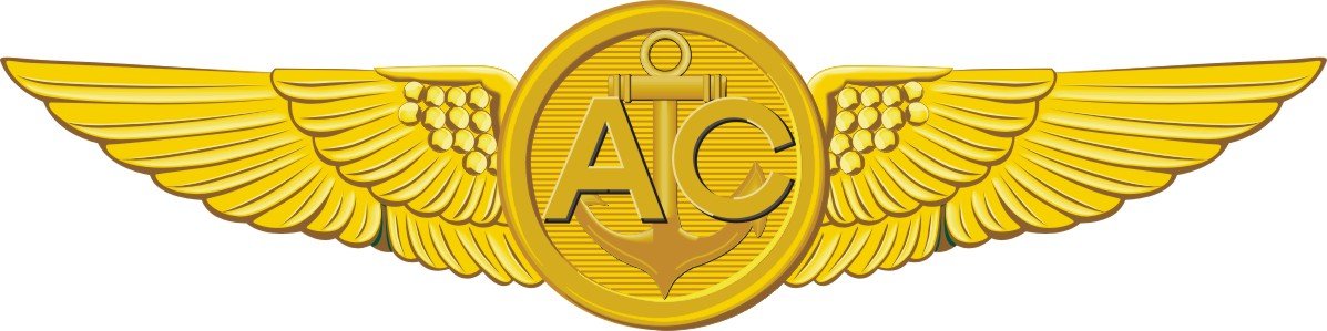 Amazon.com: US Navy Aircrew Wings Decal Sticker 3.8" : Sports & Outdoors