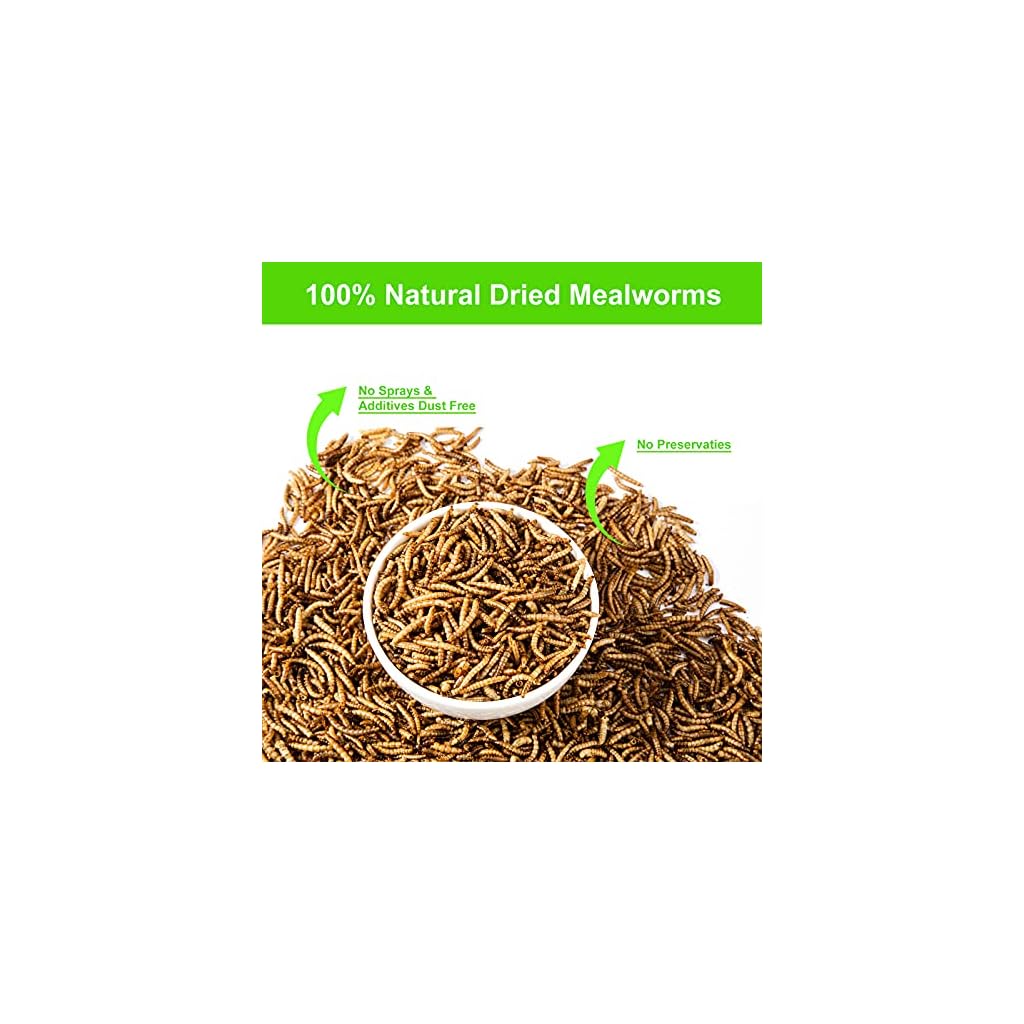 RANZ 10LBS Non-GMO Dried Mealworms for Chickens, High Protein Meal ...