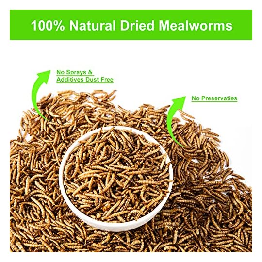 RANZ 10LBS Non-GMO Dried Mealworms for Chickens, High Protein Meal ...