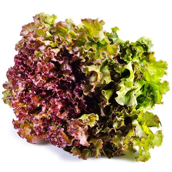 Amazon.com: Weis Quality, Lettuce - Red Leaf : Grocery & Gourmet Food