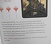The Magic: The Gathering Oracle Deck: A 52-Card Deck and Guidebook ...
