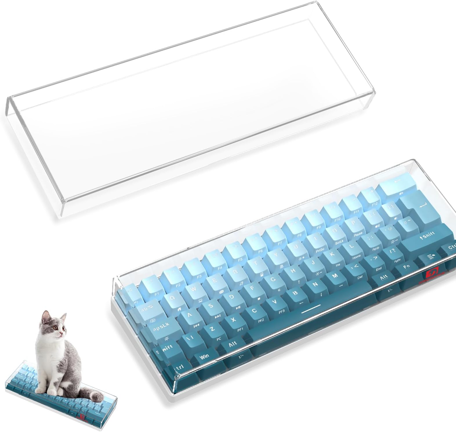 Amazon.com: ZIYOU LANG KC01 Acrylic Clear Transparent Keyboard Cover(11 ...